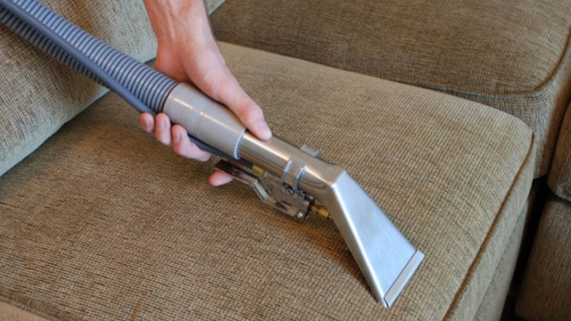 Tudo o que você precisa saber sobre limpeza de sofá – TEGGIOLY