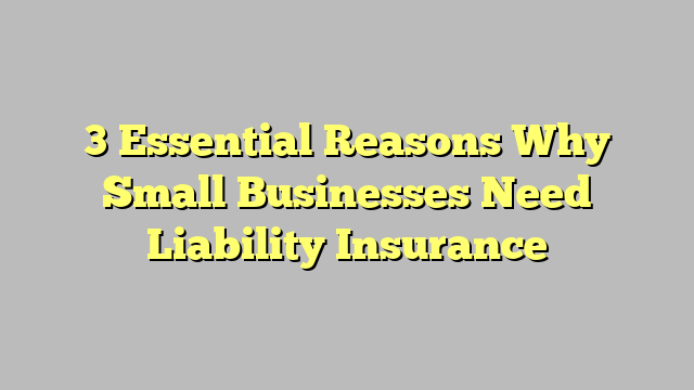 3 Essential Reasons Why Small Businesses Need Liability Insurance ...